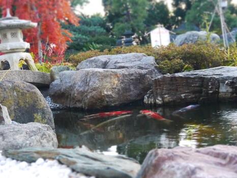 Hotel Kuki, Kuki - Central de Reservas