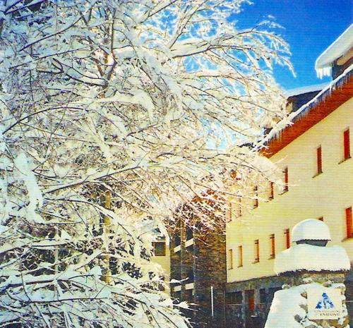 Alberg La Molina Xanascat, La Molina. Desde 62€ - Central de Reservas