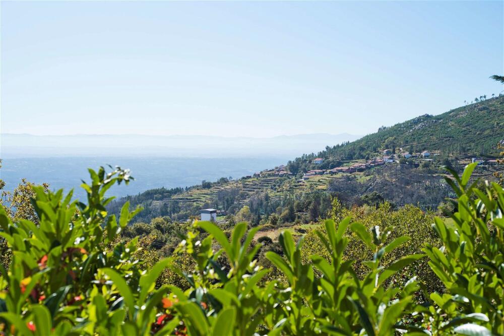 Golden Tulip Caramulo Hotel & Spa, Caramulo - Reserving