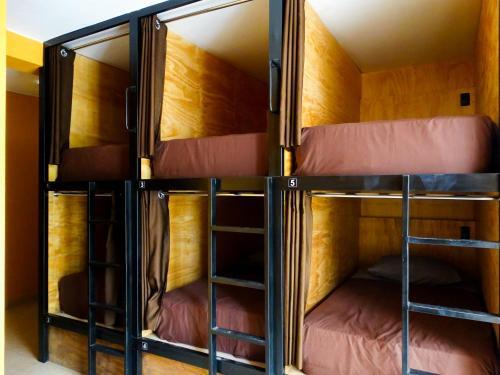 Wild Rover Hostel Huacachina, Ica - Central de Reservas