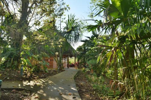 Lodges Huasquila Amazon Lodge, Cotundo - Central de Reservas