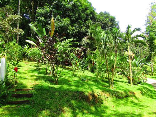 Hotel Agua Inn, Nuevo Arenal - Centraldereservas.com