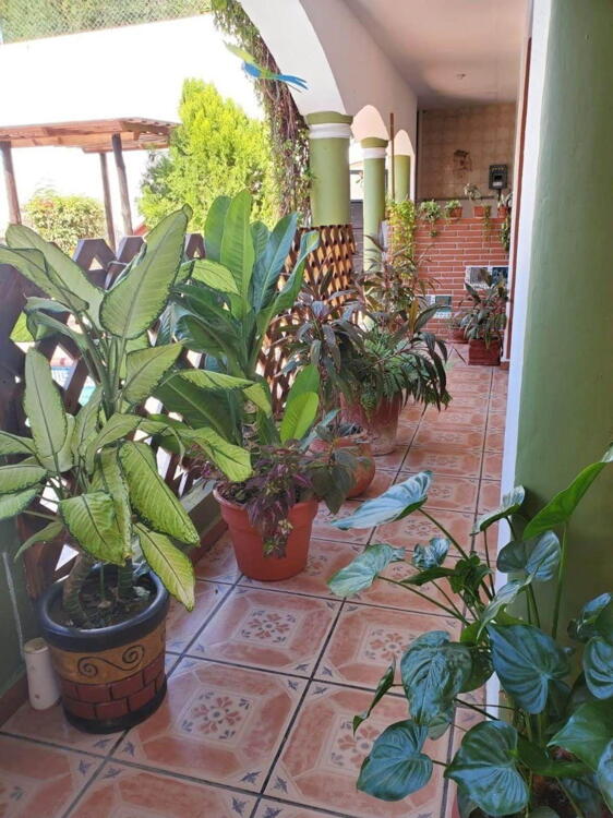 Hotel Casablanca, Puerto Escondido. Desde 48.95€ - Central de Reservas