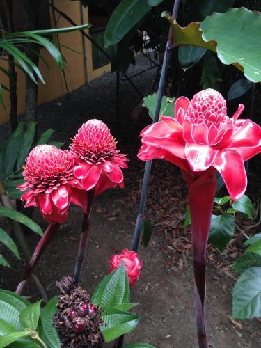 La Casa de Rolando, Puerto Viejo - Centraldereservas.com