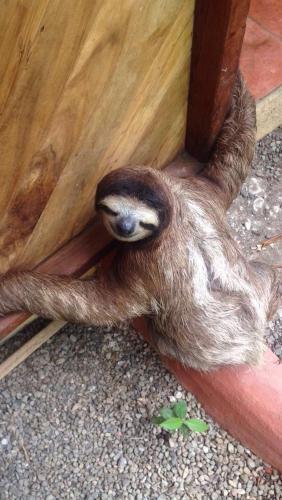 La Casa de Rolando, Puerto Viejo - Centraldereservas.com