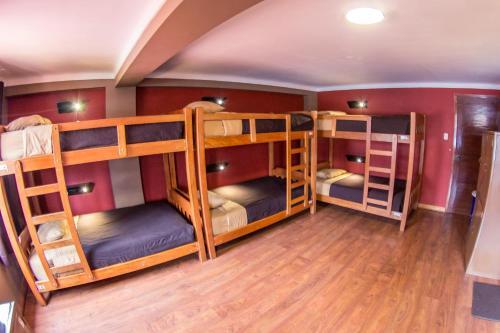 Albergue Wild Rover La Paz, Ciudad La Paz - Central de Reservas