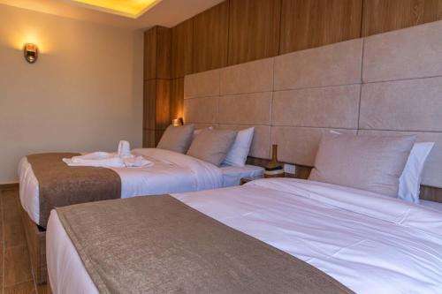 Nine Pyramids View Hotel, El Cairo - Central de Reservas