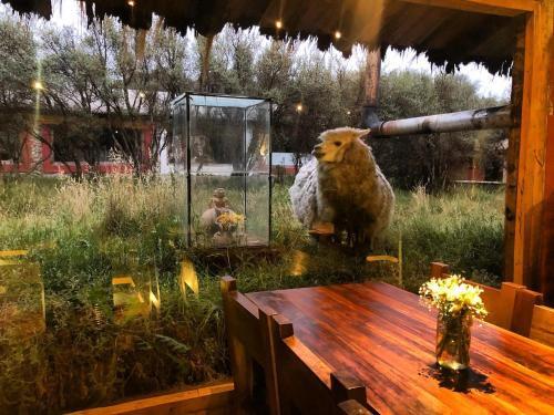 Polylepis Lodge, El Ángel - Central de Reservas