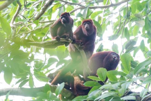 El Rio Hostel, Buritaca - Central de Reservas