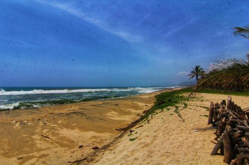 Blue Mango Beach Hotel, Guachaca - Centraldereservas.com