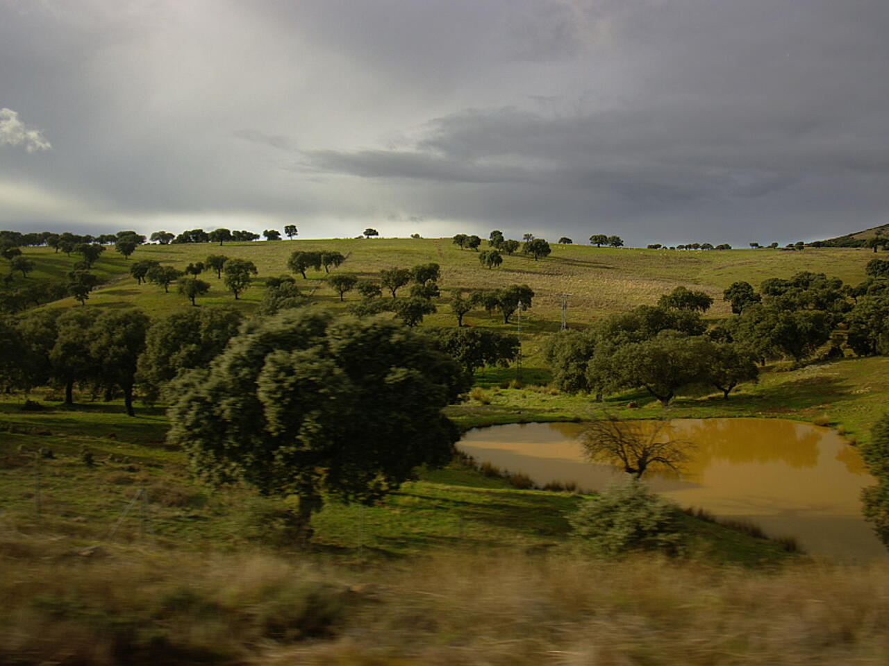 Encinares de Sierra Morena - Central de Reservas
