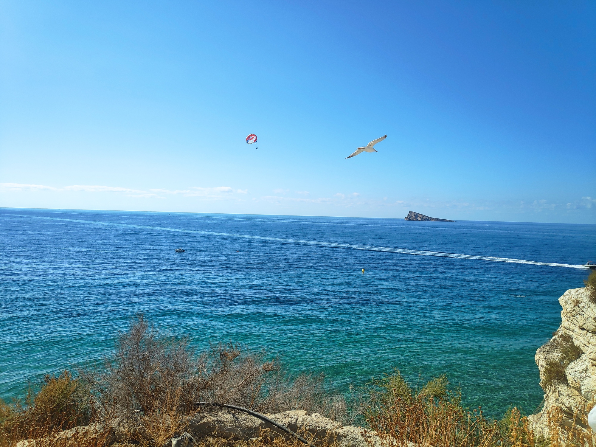 Hoteles en Benidorm, Alicante - Tu Hotel en Centraldereservas.com