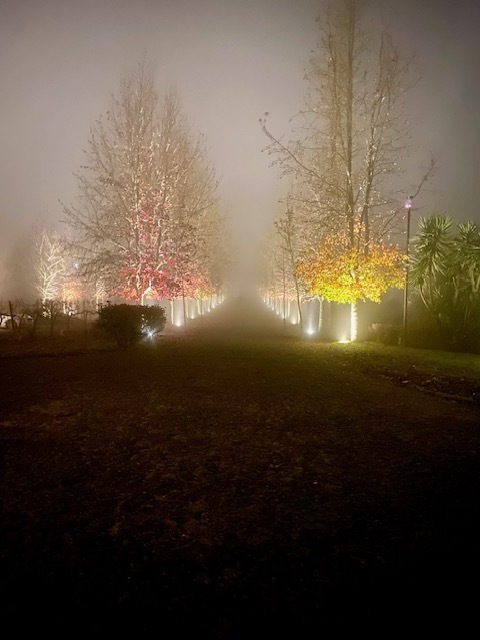Hotéis em Centro de Amarante, Amarante - Reserving