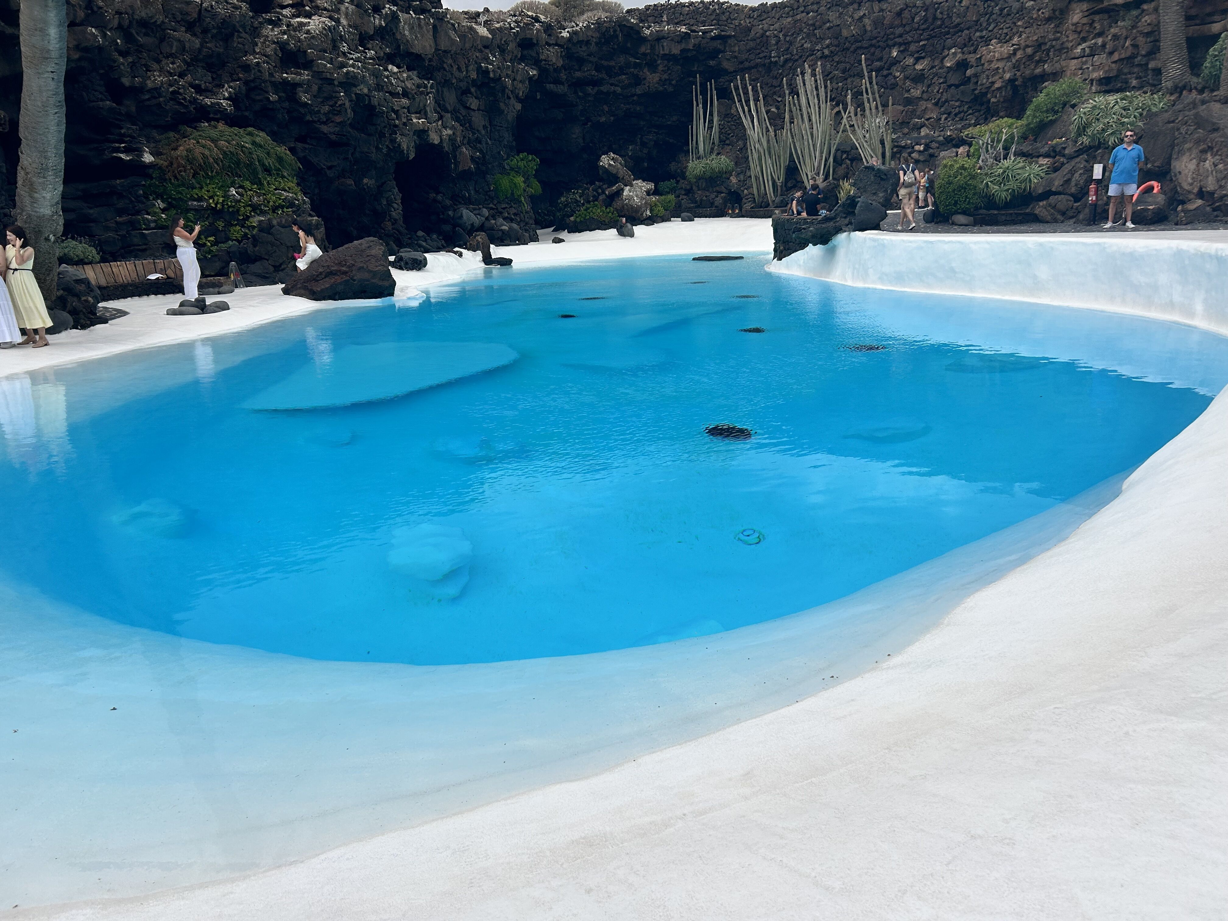 Hotel in Costa Teguise y otros alojamientos (localidad) - Reserving