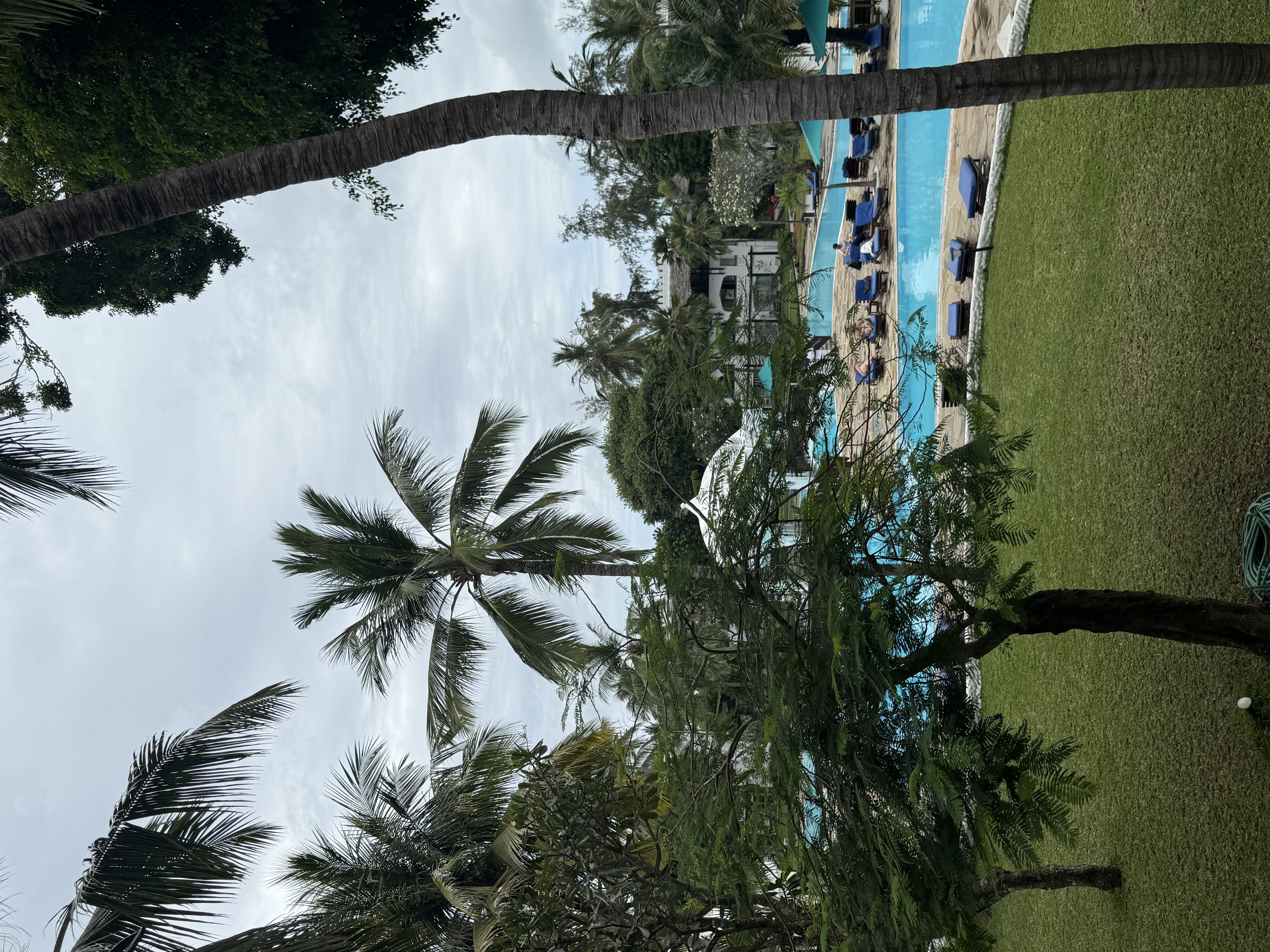 4 opinioni dei viaggiatori su Diani Beach, Kwale - Reserving