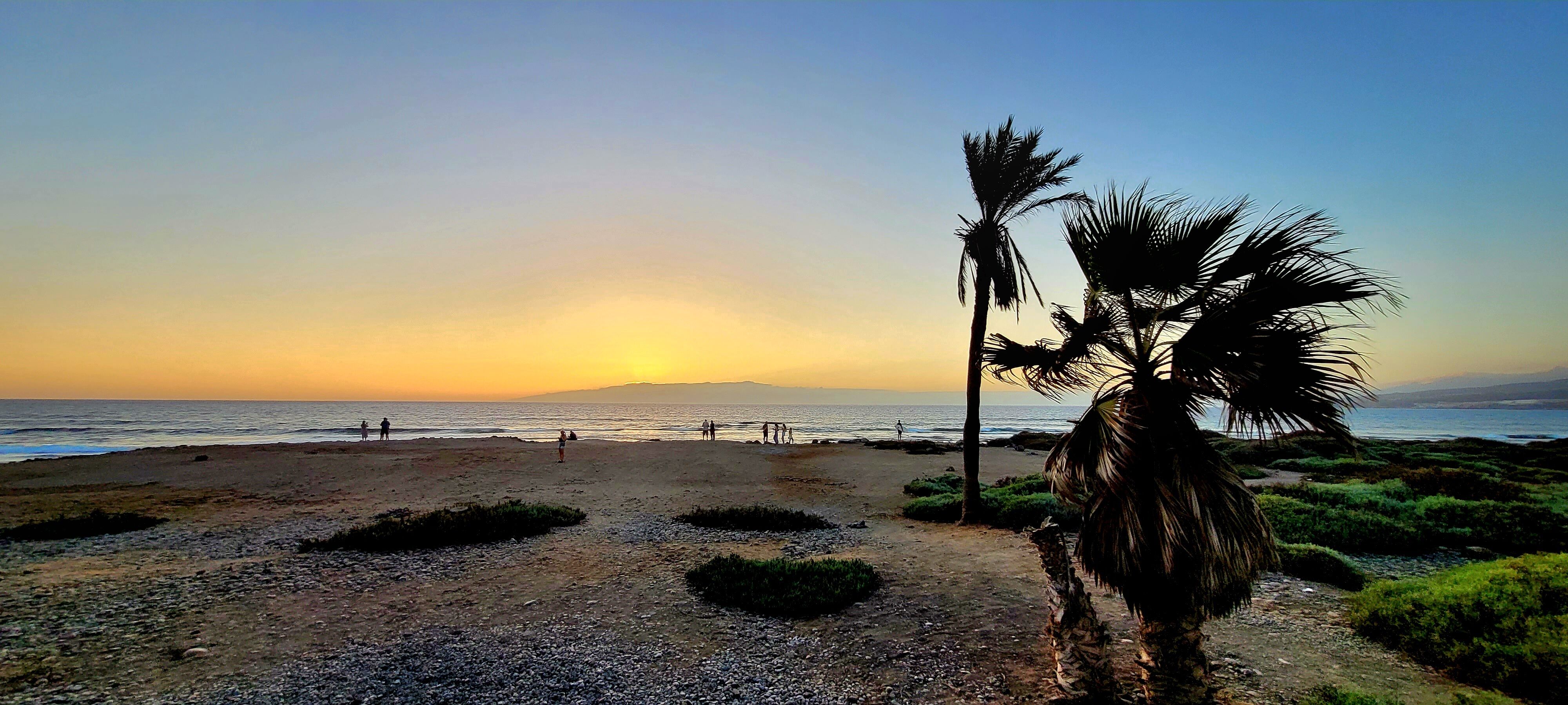 108 opiniones de viajeros sobre Playa de las Americas, Isla de Tenerife ...